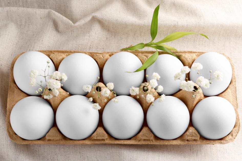 Cracking the Code: A Guide to Choosing the Best Eggs | Happy Healing ...