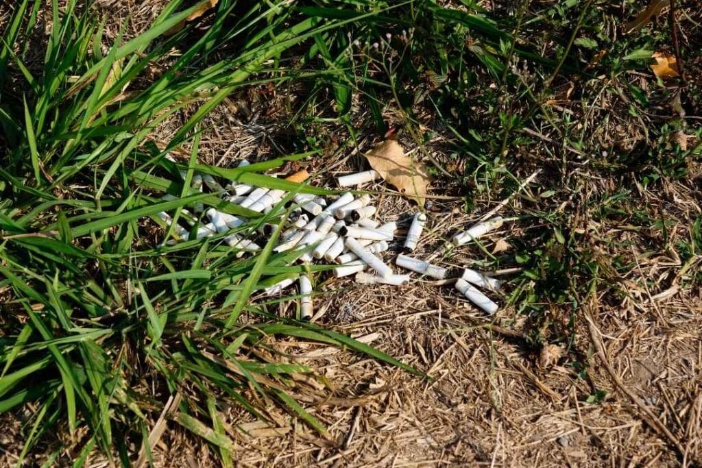 The Real Impact of a Single Cigarette: What Happens in Your Body ...