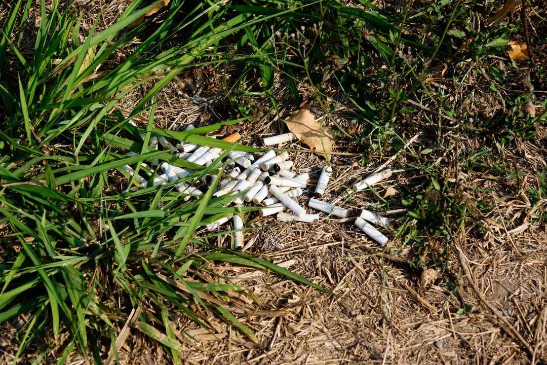 The Real Impact of a Single Cigarette: What Happens in Your Body ...